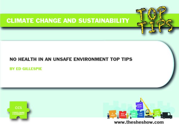 Top Tips: No Health in an Unsafe Environment - The SHE Show - Safety ...